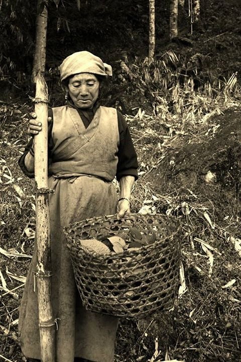 Lepcha Community of Sikkim: Cultural Heritage and Conservation Efforts ...