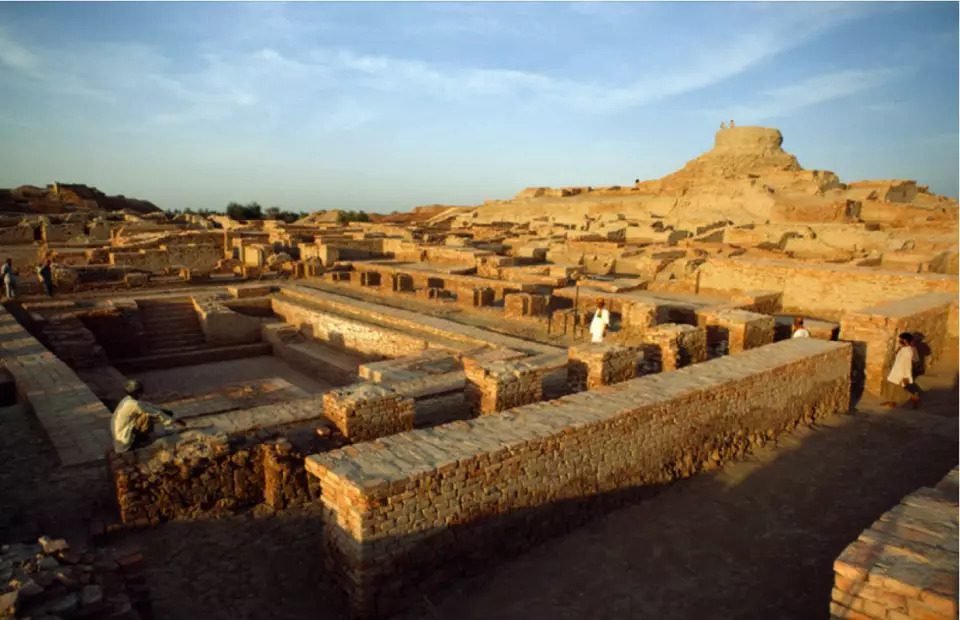 Surkotada Speaks: Unearthed Relics from the Cradle of Civilization ...
